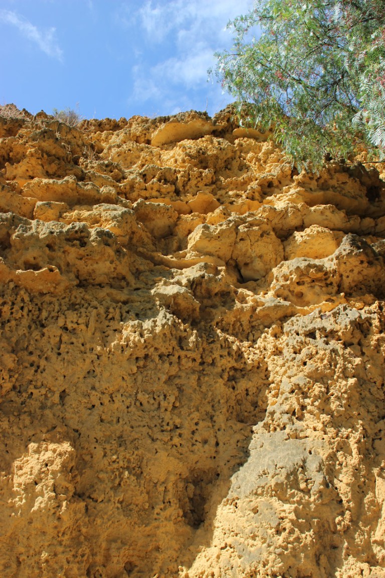 April | 2015 | Naturally South Australia