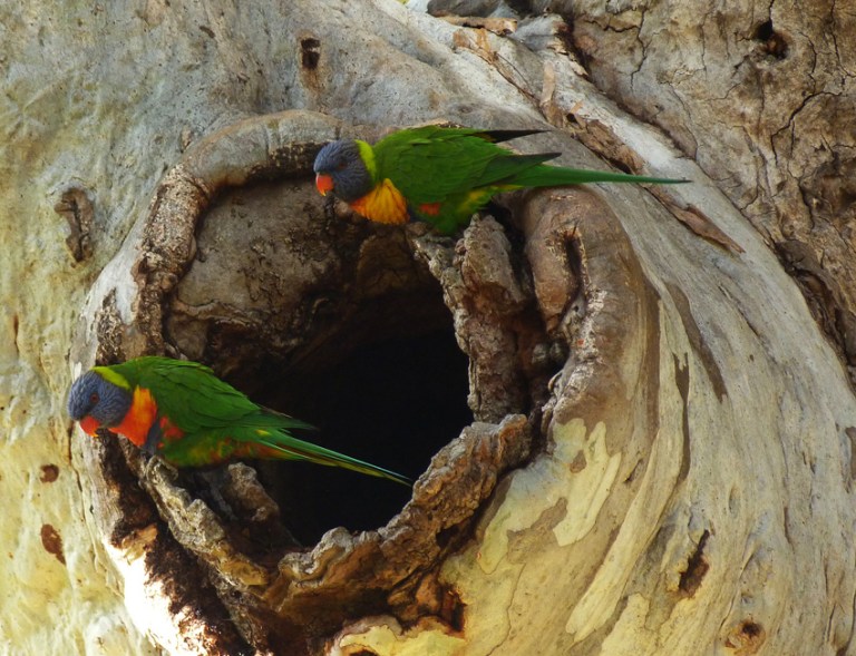 May | 2015 | Naturally South Australia