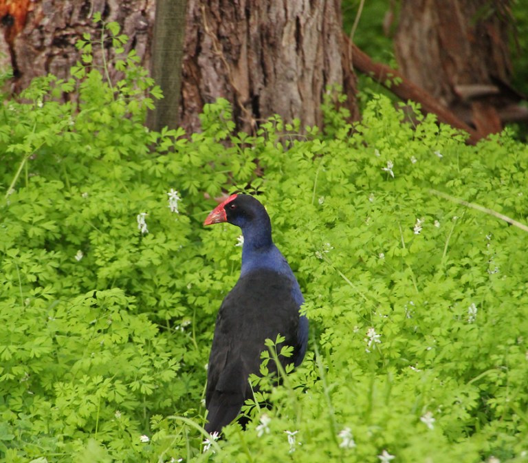 September | 2015 | Naturally South Australia